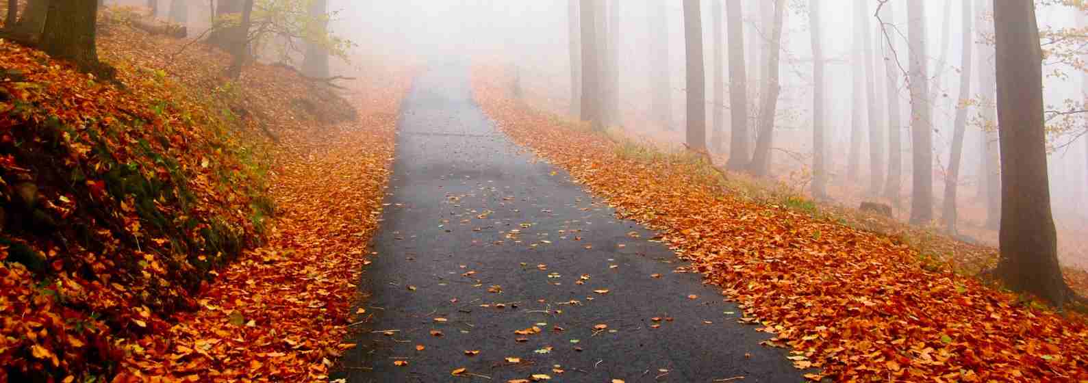 Innovation. Focused.